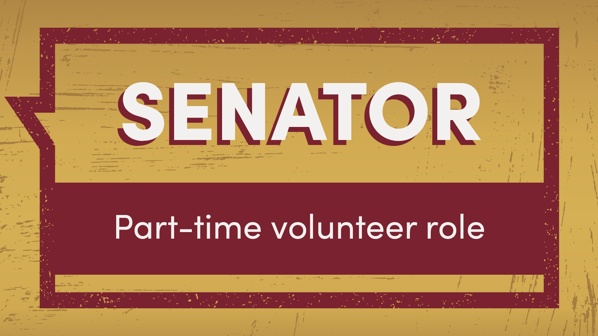 Leadership Elections - SUSU