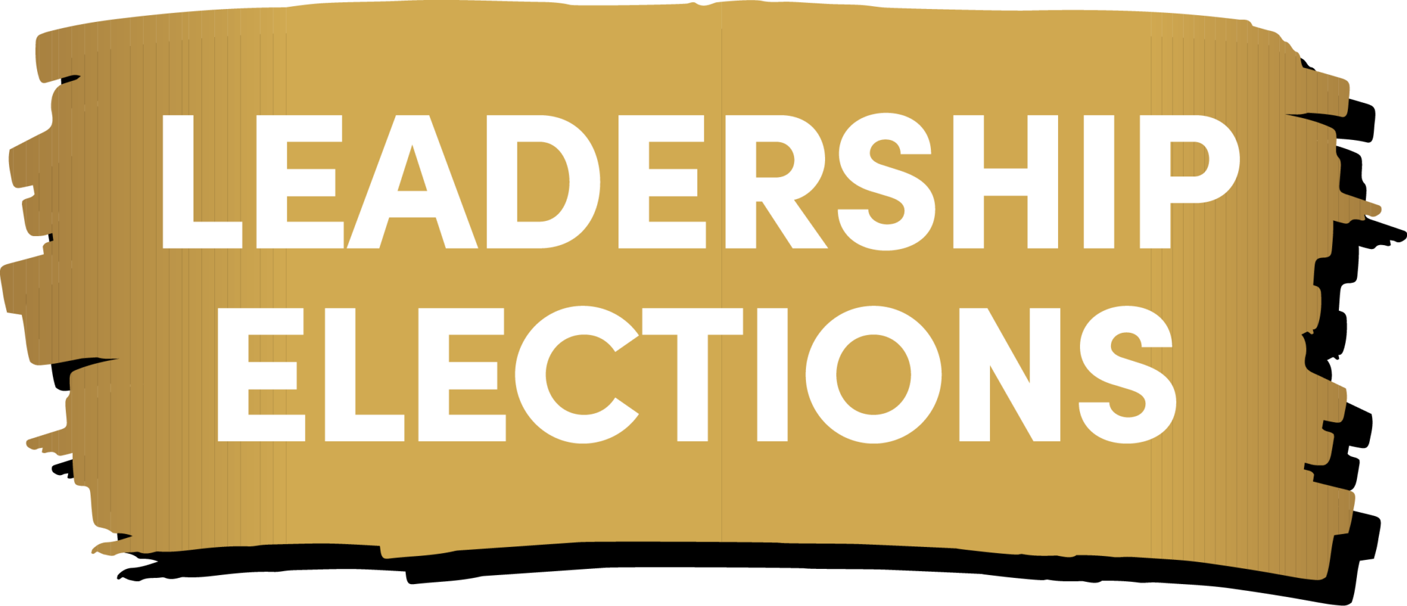 2026 Leadership Elections Applications Now Open! - SUSU